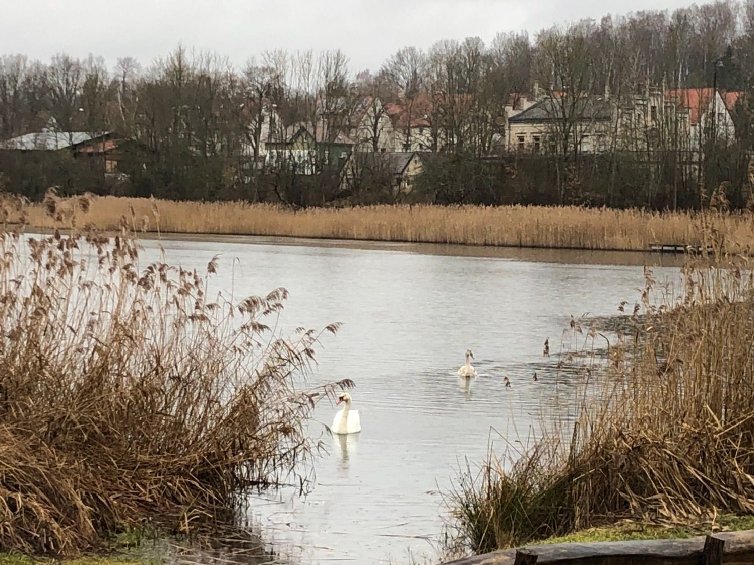 Bleicherode - Frauenberg - Kriegsberg - Radfahren Thüringen - bergfex