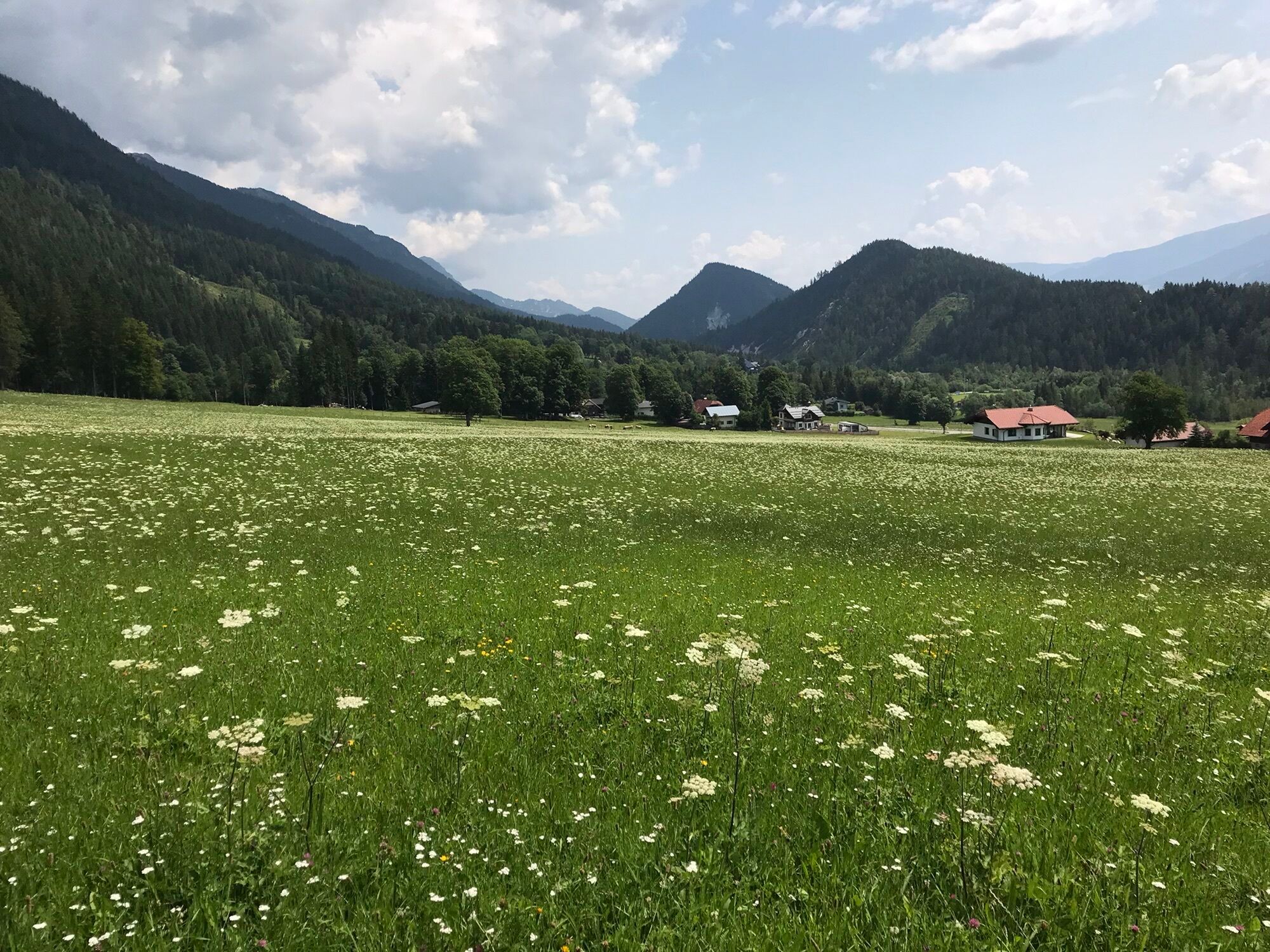 Tour- 5 - Wandelen Stiermarken - bergfex