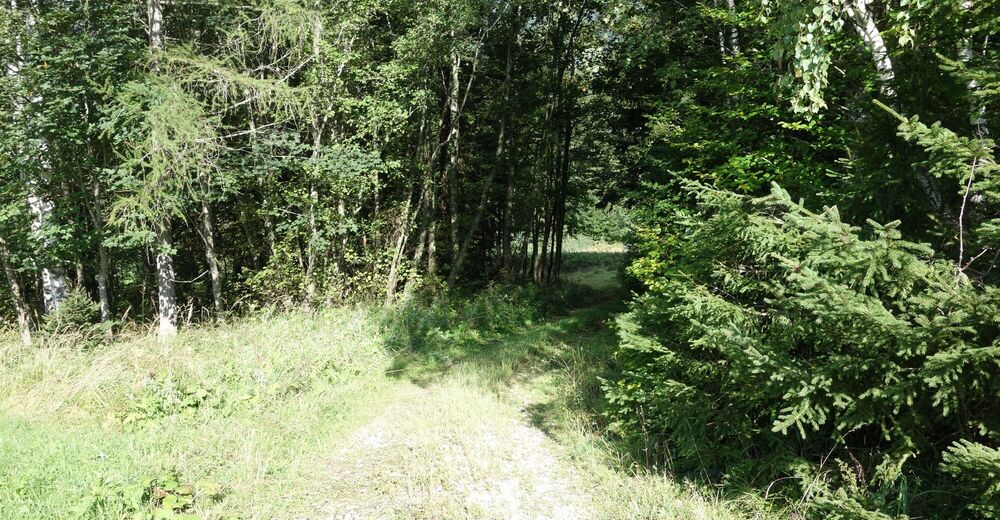 ANNABERG Hennesteck Weißes Kreuz Annahütte Hüttenfeld Ginsel 20220830 ...