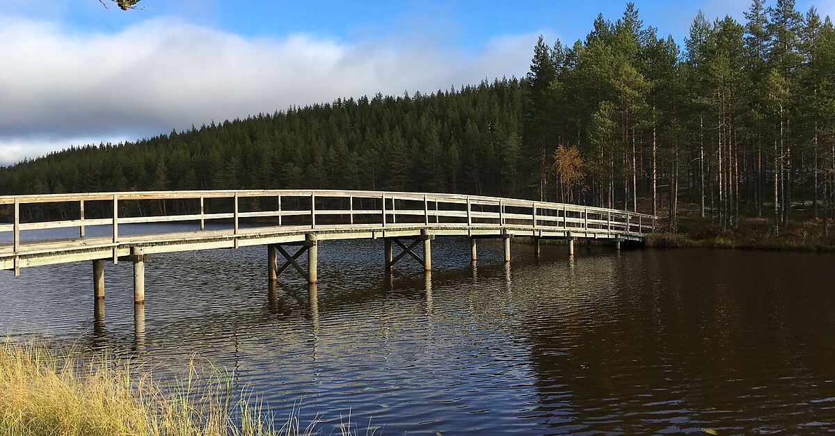 Syväjärvi Uferpfad, 4,5 km, Kuhmo Finnland - BERGFEX - Wanderung - Tour Kainuu