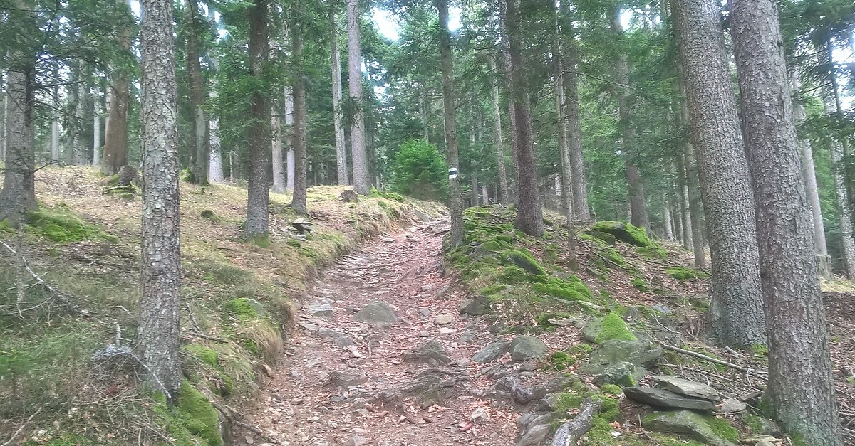 "The Triple" im oststeirischen Hügelland - Rabenwaldkogel 1.280m, Hoher ...