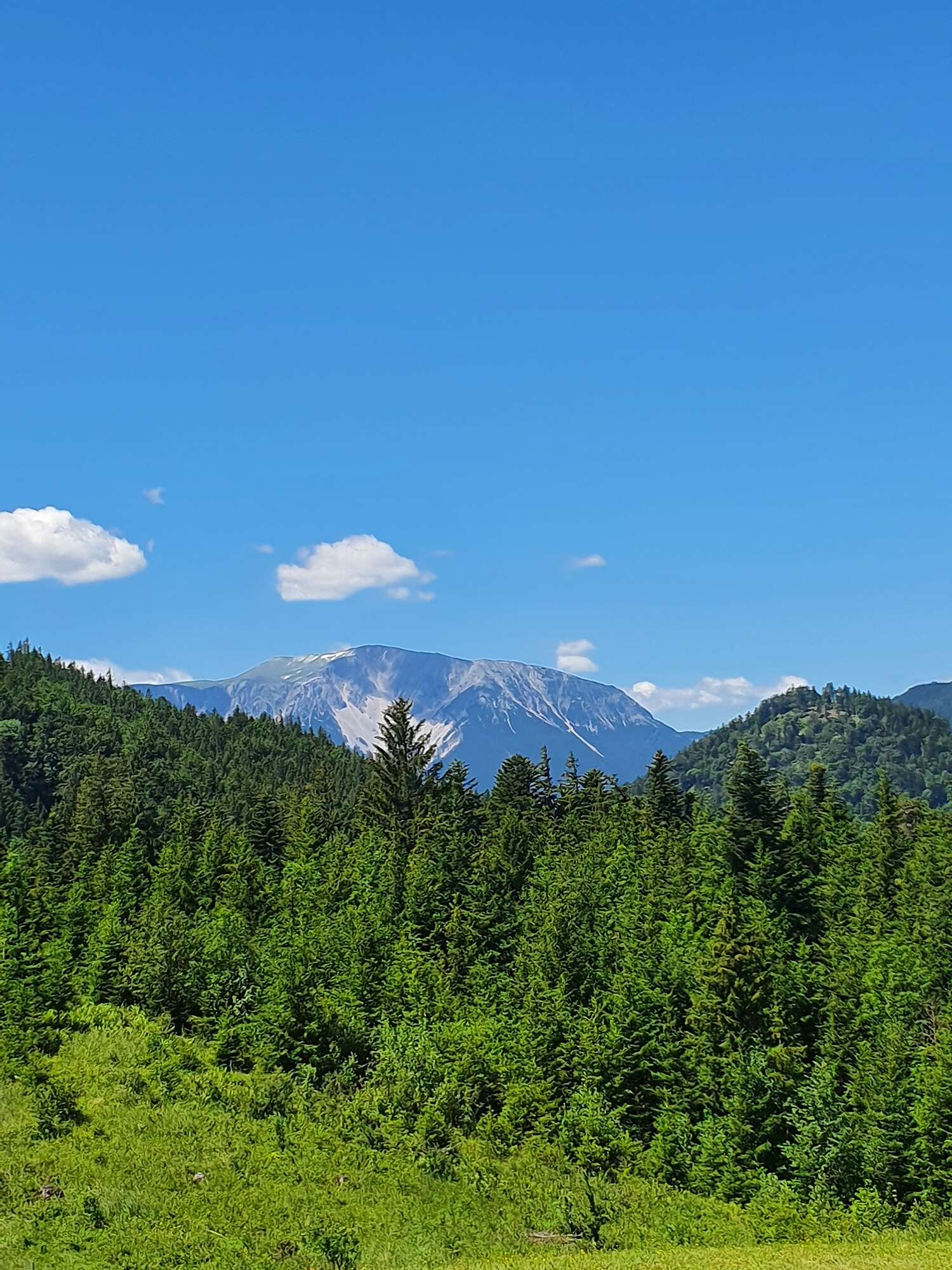 BERGFEX: Miesenbach: Holiday Miesenbach - Travel Miesenbach