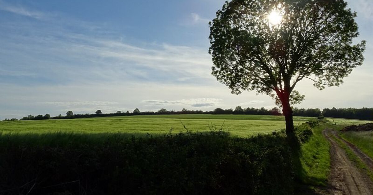 Les Chemins de Saint-Jacques de Compostelle de Remigny à Cluny ...