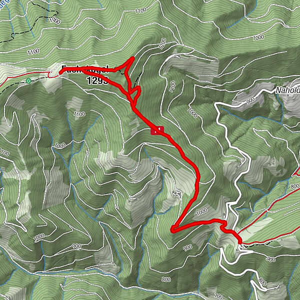 Frohnleiten - Gmoa Alm - Fuchskogel - BERGFEX - Wanderung - Tour Steiermark
