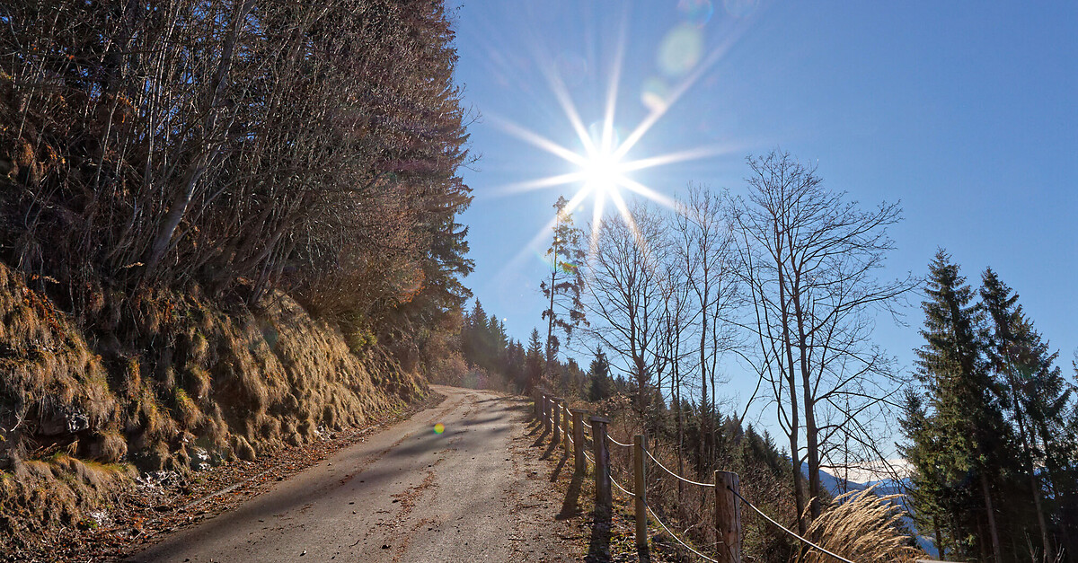 Jufen und Lammersdorfer Hütte über Leitsberg, Rundkurs - BERGFEX ...