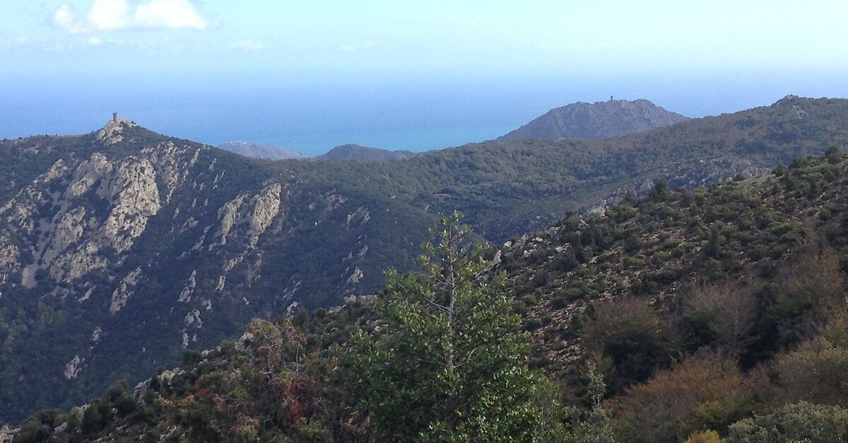 [Liaison] Tour de la Massane- Pic des Quatre Termes (par le GR10 ...