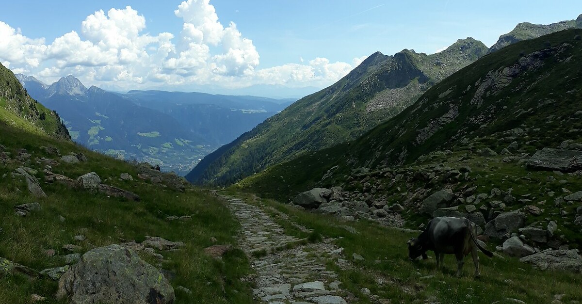 Mutspitze - Monte Muta (Rundtour) - BERGFEX - Wanderung - Tour Südtirol