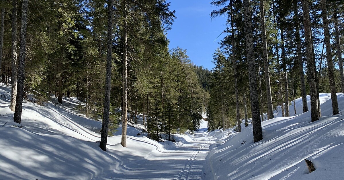 Walster - Fadental - BERGFEX - Langlaufen - Tour Steiermark