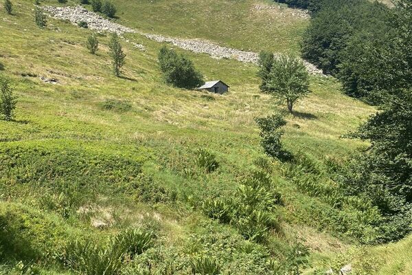 Grondola - Pian della Faggiola - Monte Giogallo - Villa Vecchia ...