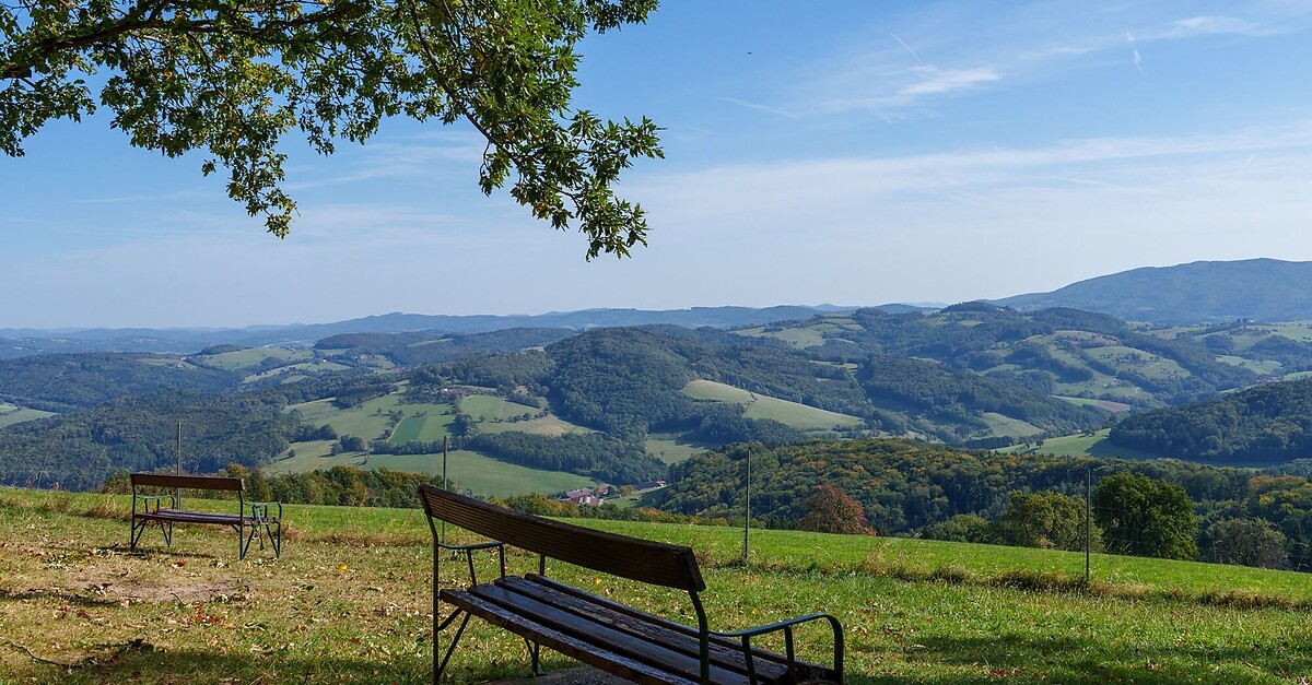 stp Route #3 Gipfeltour Wienerwald - BERGFEX - Rennrad - Tour ...