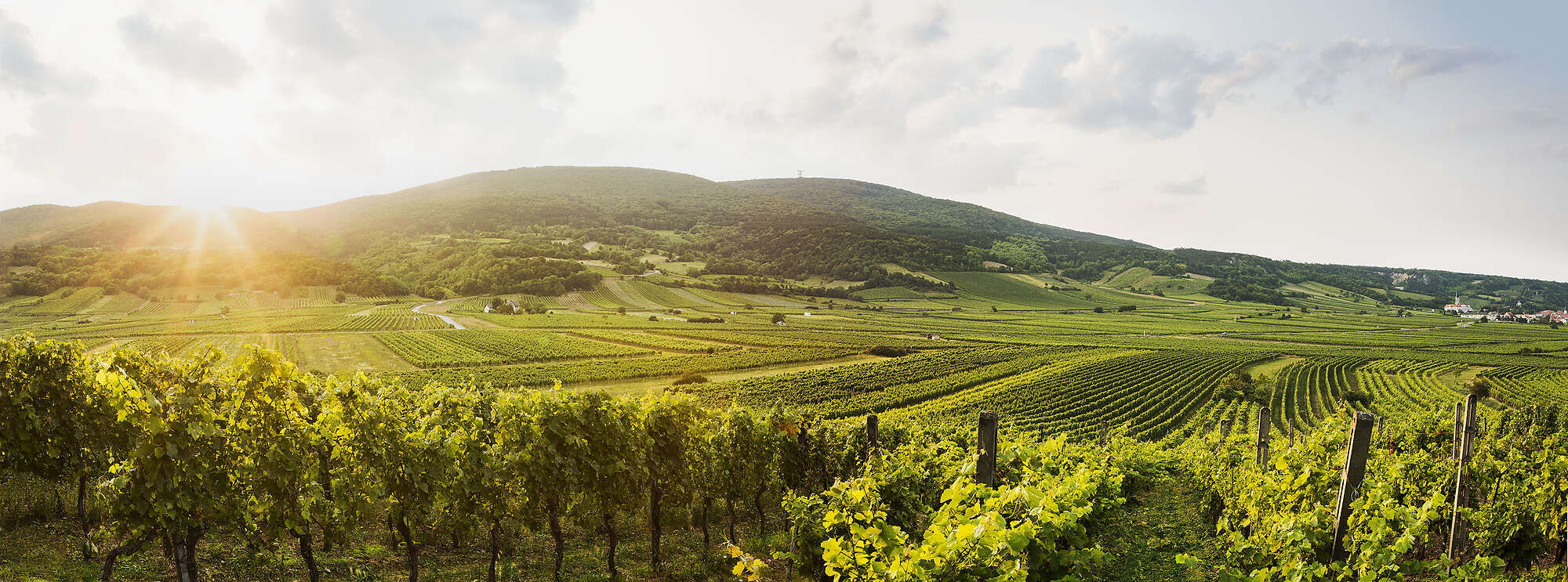 BERGFEX: Wienerwald: Holiday Wienerwald - Travel Wienerwald