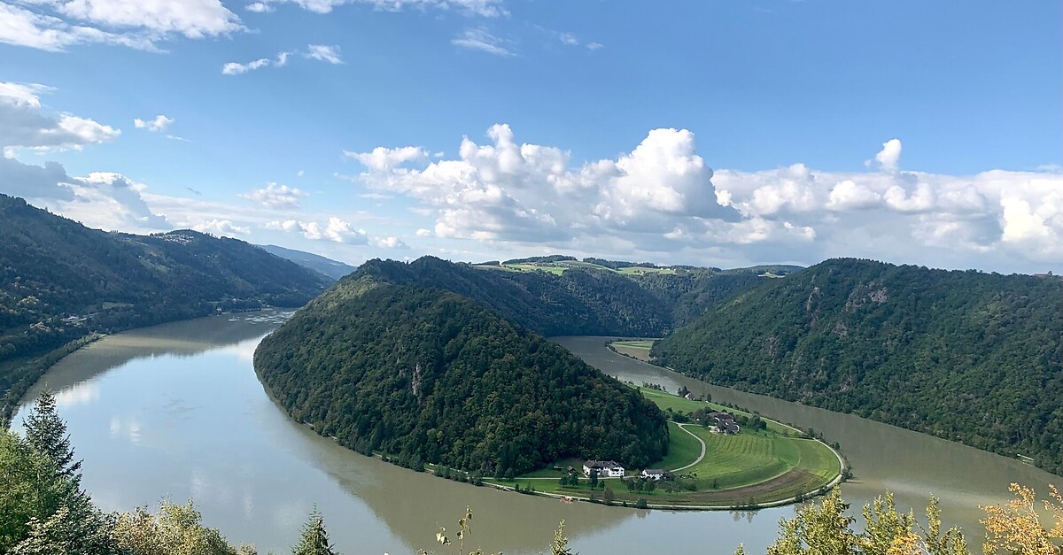 Blick auf die Schlögener Schlinge - BERGFEX - Wanderung - Tour ...