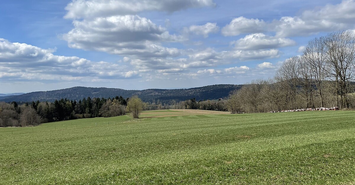 Wegscheid - BERGFEX - Wanderung - Tour Bayern