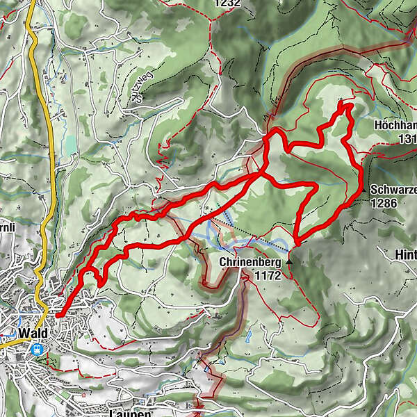 Wald - zum Alp-Traum - Schwarzenberg - Bergrestaurant Farneralp ...