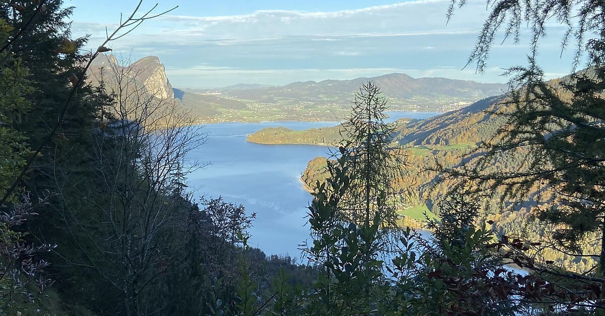 Schafberg - BERGFEX - Wanderung - Tour Salzburger Land