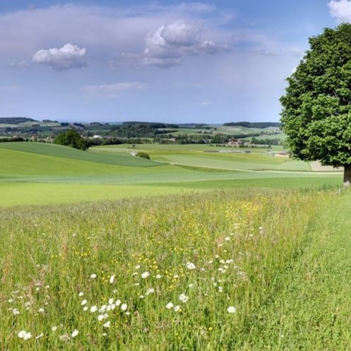 bergfex: Weather, webcams and ski resorts in Austria and Europe