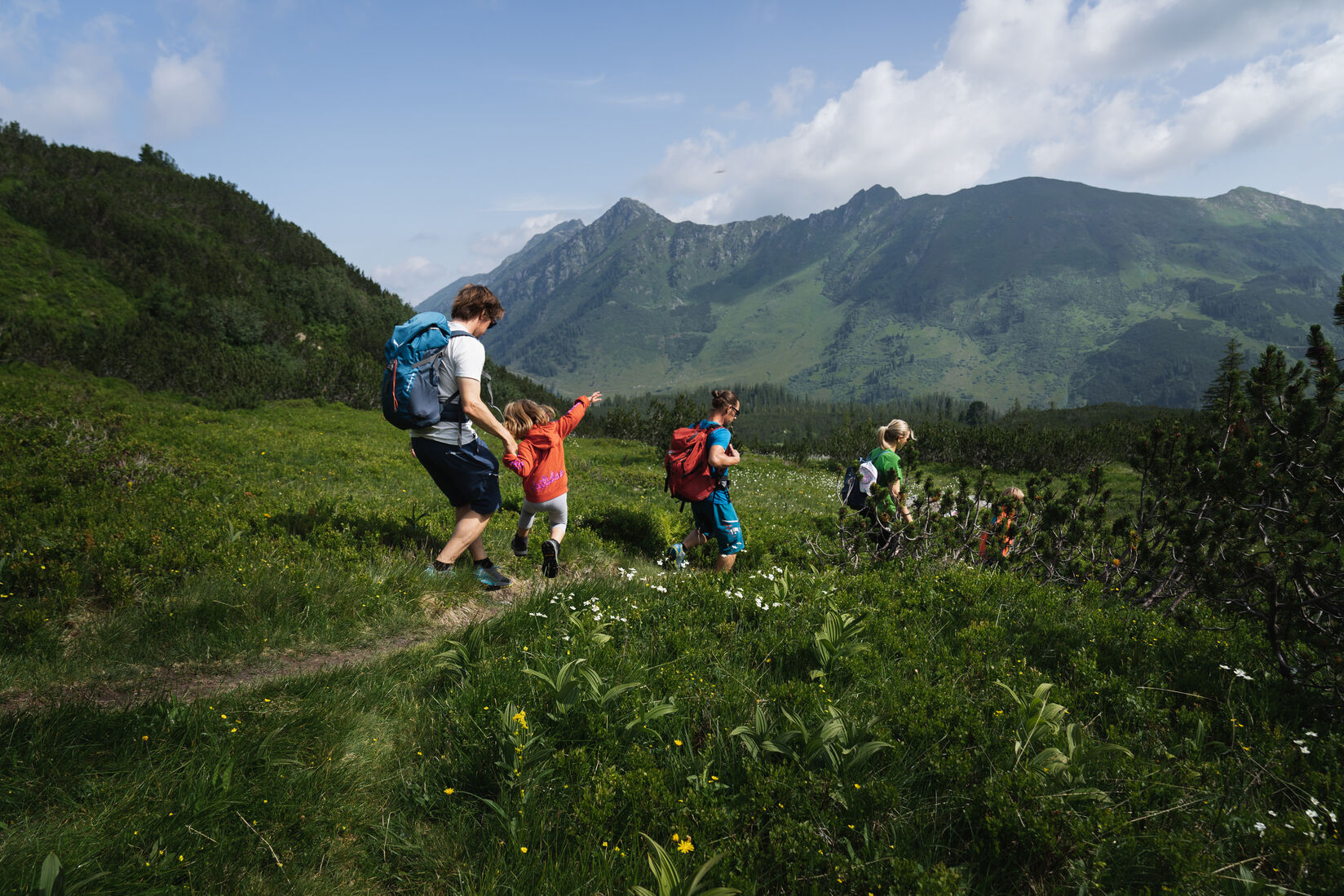 BERGFEX: Panoramakarte Donnersbach - Planneralm: Mapa Donnersbach ...