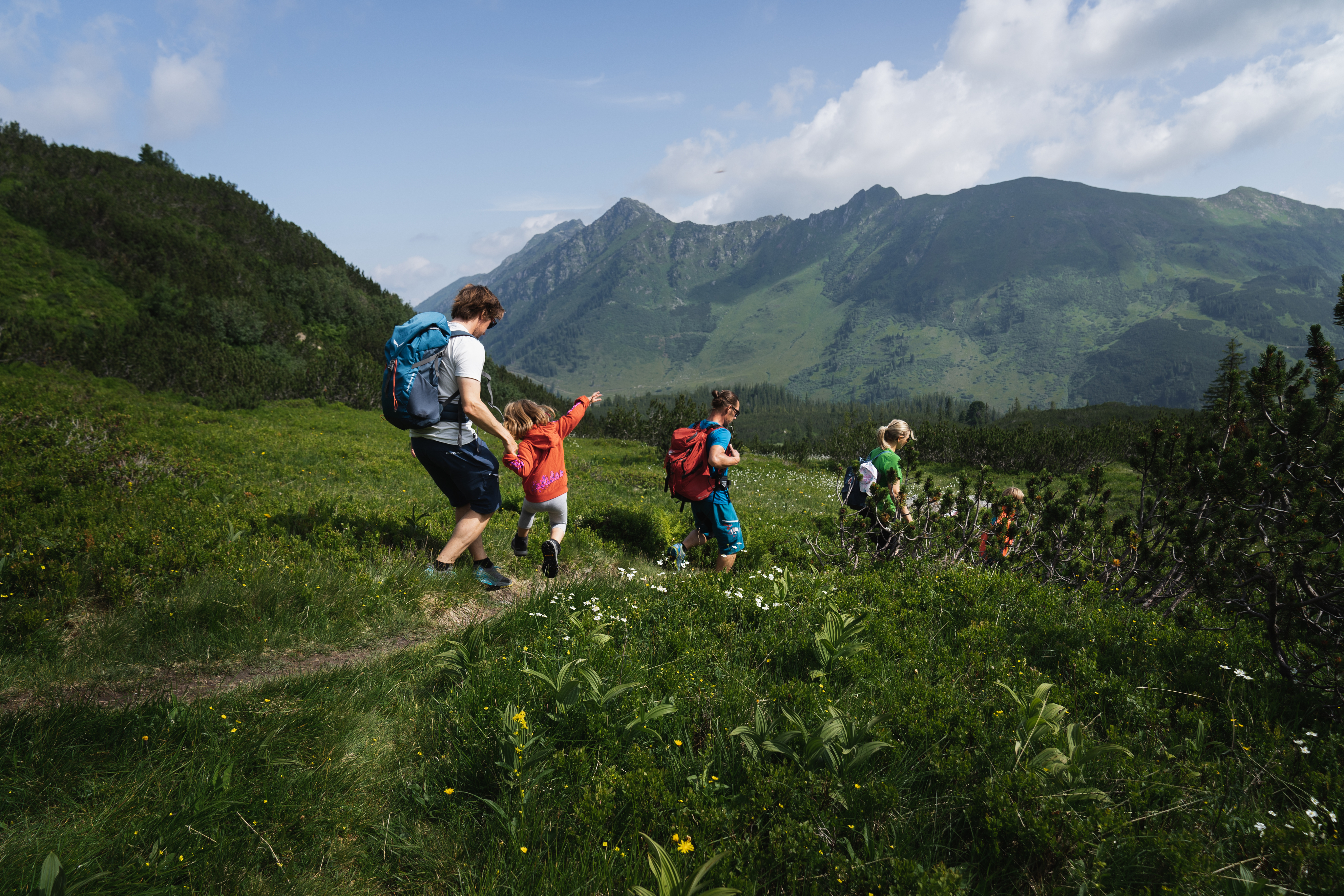 BERGFEX: Panoramic map Donnersbach - Planneralm: Map Donnersbach ...