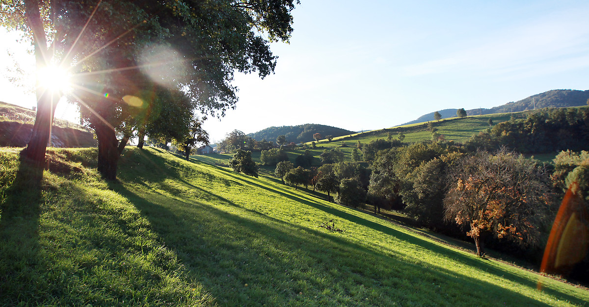 BERGFEX: Panoramakarte Elsbeere-Wienerwald: Karte Elsbeere-Wienerwald ...