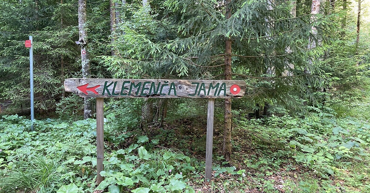 Ojstrica i Planjava - BERGFEX - Wanderung - Tour Savinjska