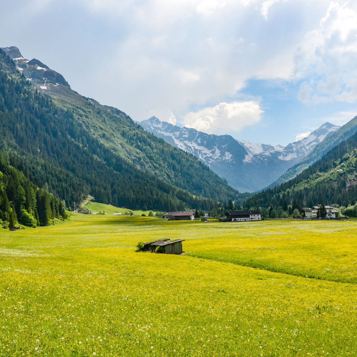 bergfex: Weather, webcams and ski resorts in Austria and Europe