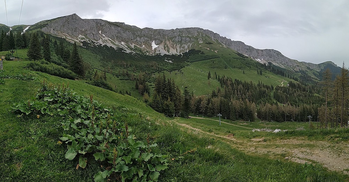 Seebergalm-Turnaueralm-Rotsohlalm-Hohe Veitsch - BERGFEX - Wanderung ...