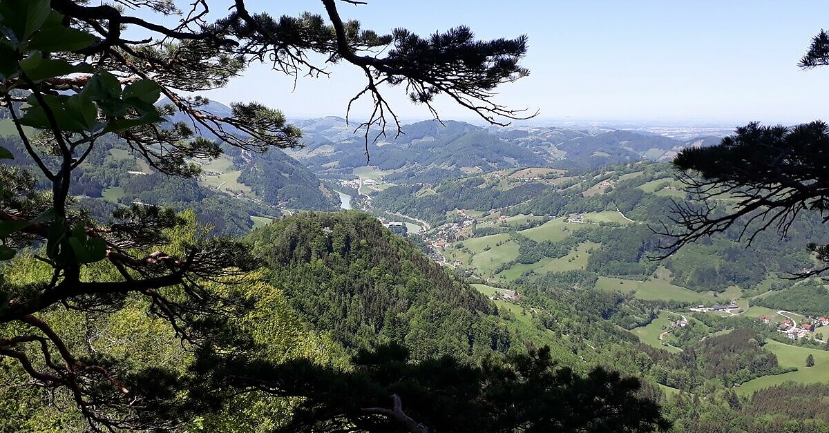Schieferstein (via Losenstein) - BERGFEX - Hiking - Tour Upper Austria
