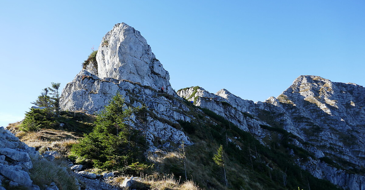 Ybbstaler Alpen - Ötscher 1.893m - Rundtour mit Weitblick - BERGFEX - Bergwandern - Tour ...