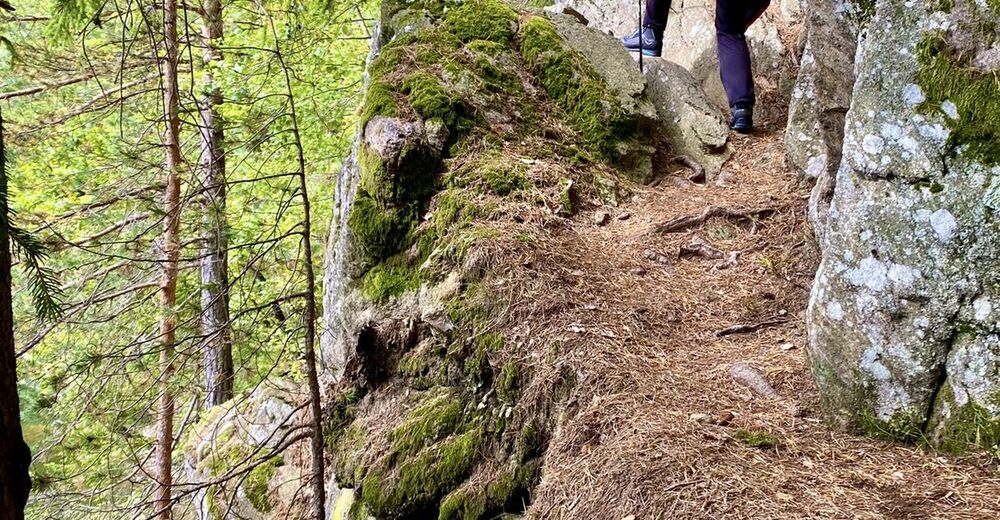 Rund um den Hirzmann-Stausee - BERGFEX - Wanderung - Tour Steiermark