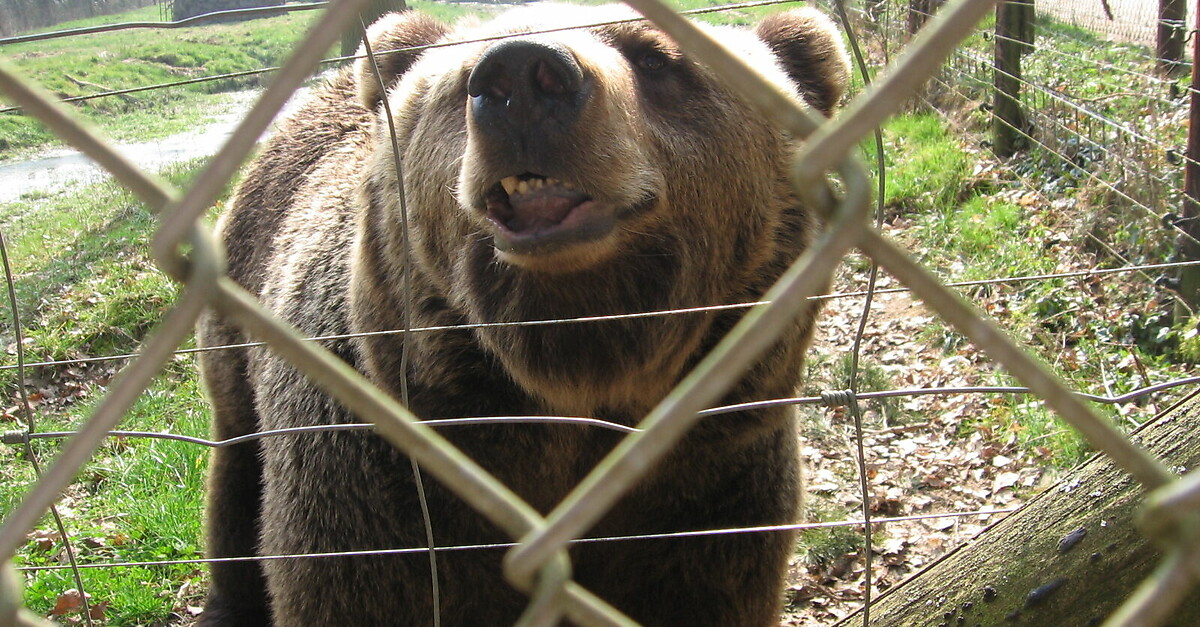 BERGFEX-Sehenswürdigkeiten - Tierpark Rheinböllen - Simmern-Rheinböllen ...