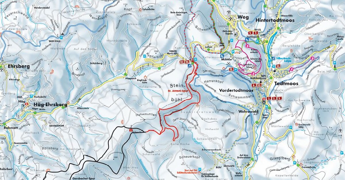 BERGFEX: Langlauf Todtmoos: Langlaufen Todtmoos