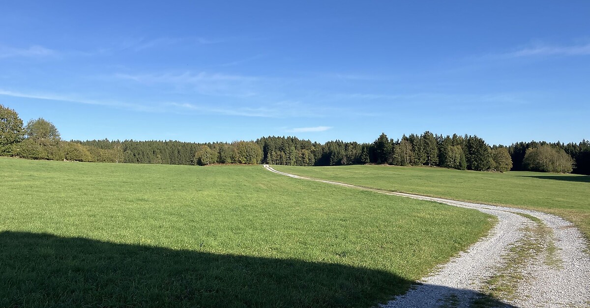 Bad Traunstein: Kräuterweg - BERGFEX - Wanderung - Tour Niederösterreich