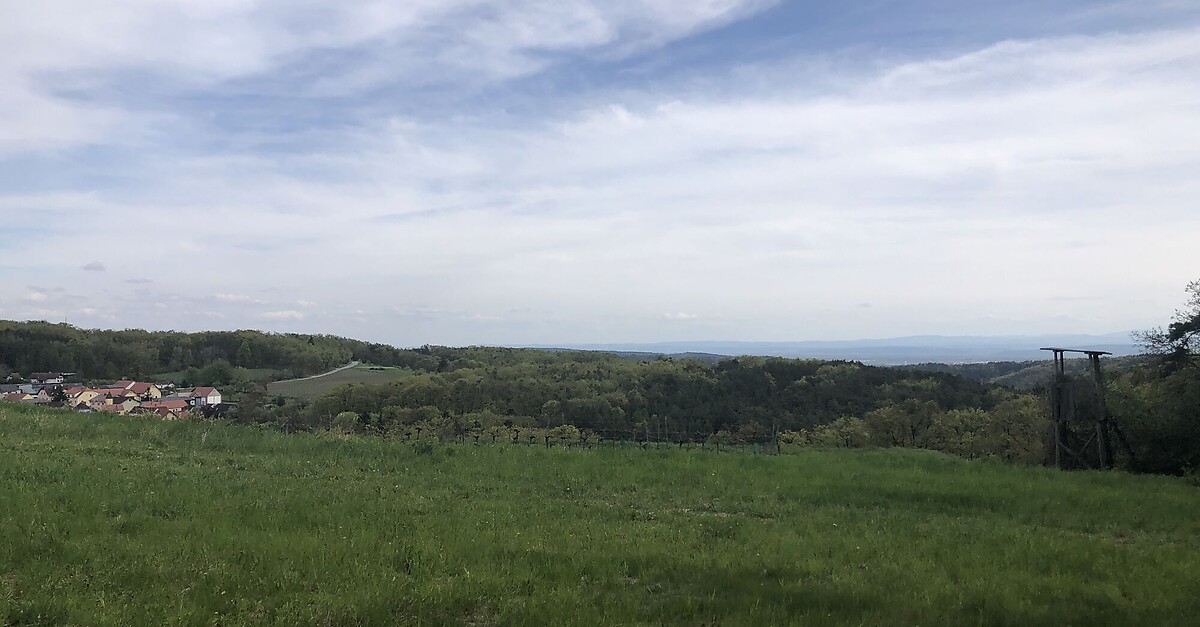 Strass im Strassertal MASU - BERGFEX - Wanderung - Tour Niederösterreich