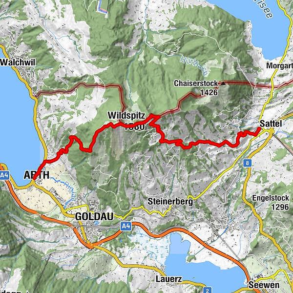 Arth am See (Schiff) - Gnipen - Wildspitz - Sattel - BERGFEX ...