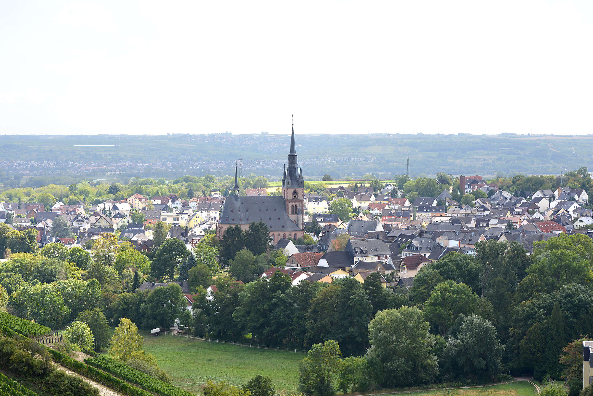 BERGFEX: Kiedrich: Urlaub Kiedrich - Reisen Kiedrich