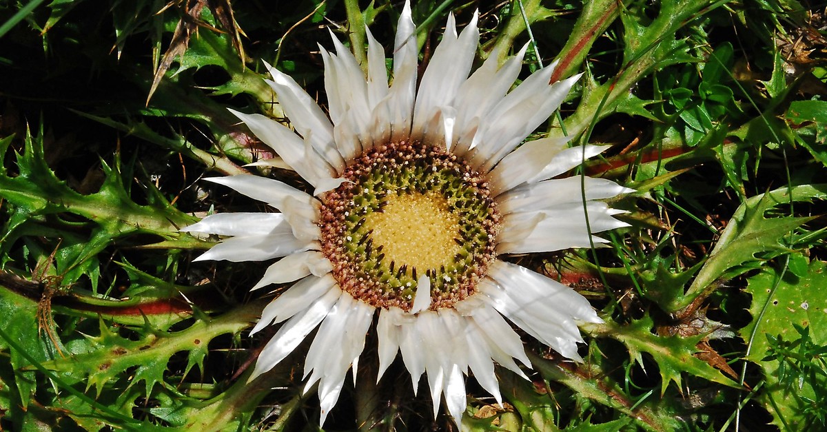 Tonion-Rundtour - BERGFEX - Wanderung - Tour Steiermark