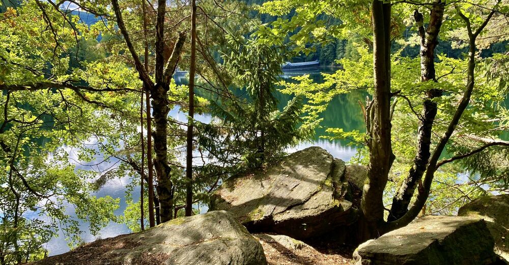 Rund um den Hirzmann-Stausee - BERGFEX - Wanderung - Tour Steiermark