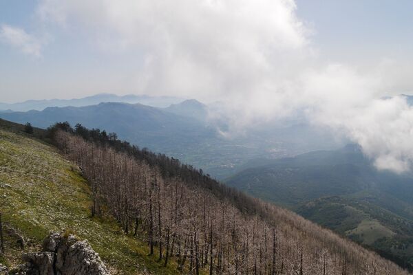 Il baraccone - Passo dei Monaci - Monte La Meta - BERGFEX - Wanderung ...