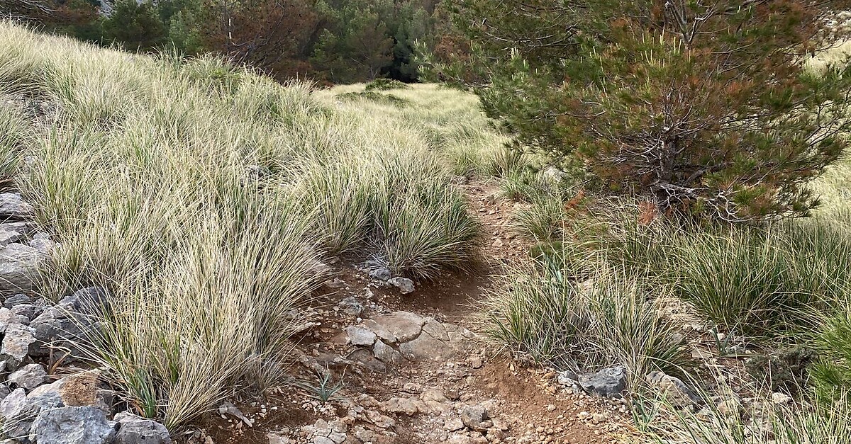 Rundwanderung El Fumat - BERGFEX - Wanderung - Tour Balearen