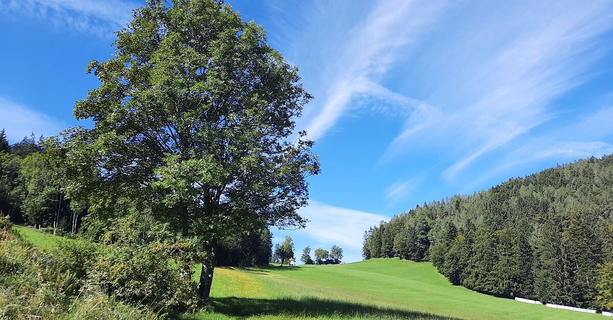 Zetz-Runde, Anger - BERGFEX - Wanderung - Tour Steiermark