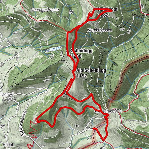 Wald (ZH) - Alp Scheidegg - Hüttchopf - Scheidegg - BERGFEX - Wanderung - Tour Zürich & Zürich ...