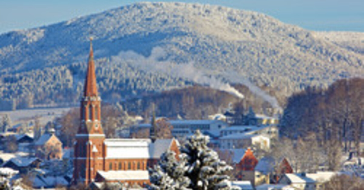 BERGFEX: Noleggio sci Zwiesel / Glasberg - Online Noleggio snowboard