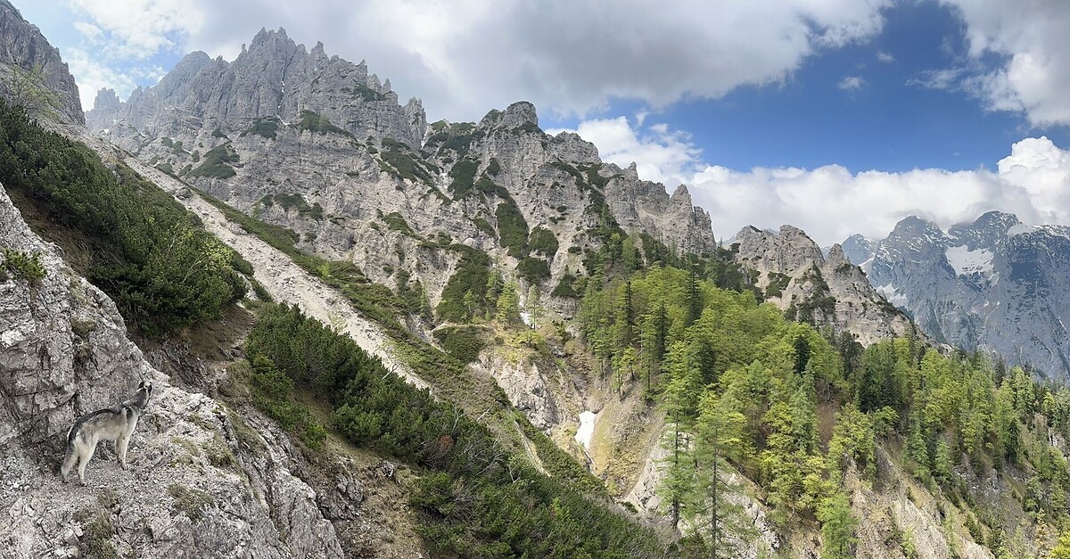 Dolomitensteig Hinterstoder - BERGFEX - Wanderung - Tour Oberösterreich