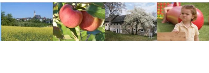 BERGFEX: Panoramakarte Ohlsdorf: Karte Ohlsdorf - Alm - Ohlsdorf