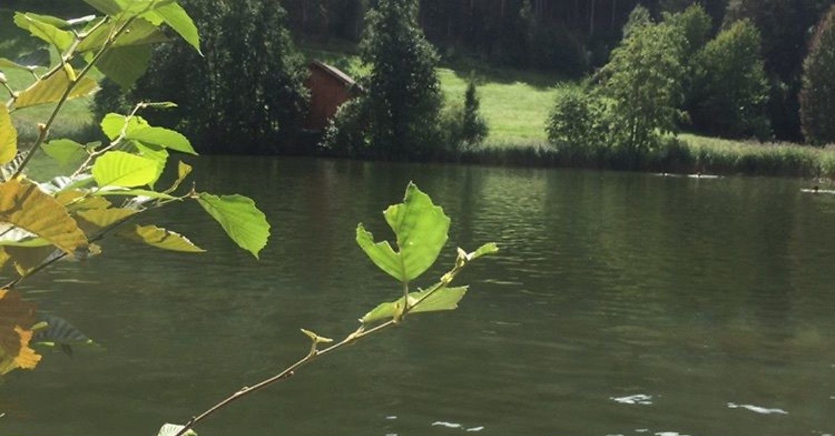 Faggen-Trams-Kronburg-Faggen - BERGFEX - E-MTB - Tour Tirol