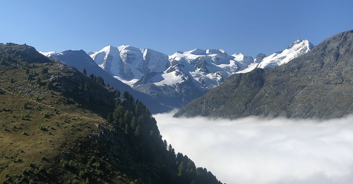 Alp Languard Muottas Muragl - BERGFEX - Wanderung - Tour Graubünden