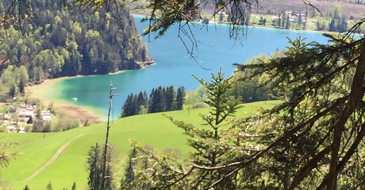 Schwarzensee von St. Wolfgang - BERGFEX - Wanderung - Tour Oberösterreich