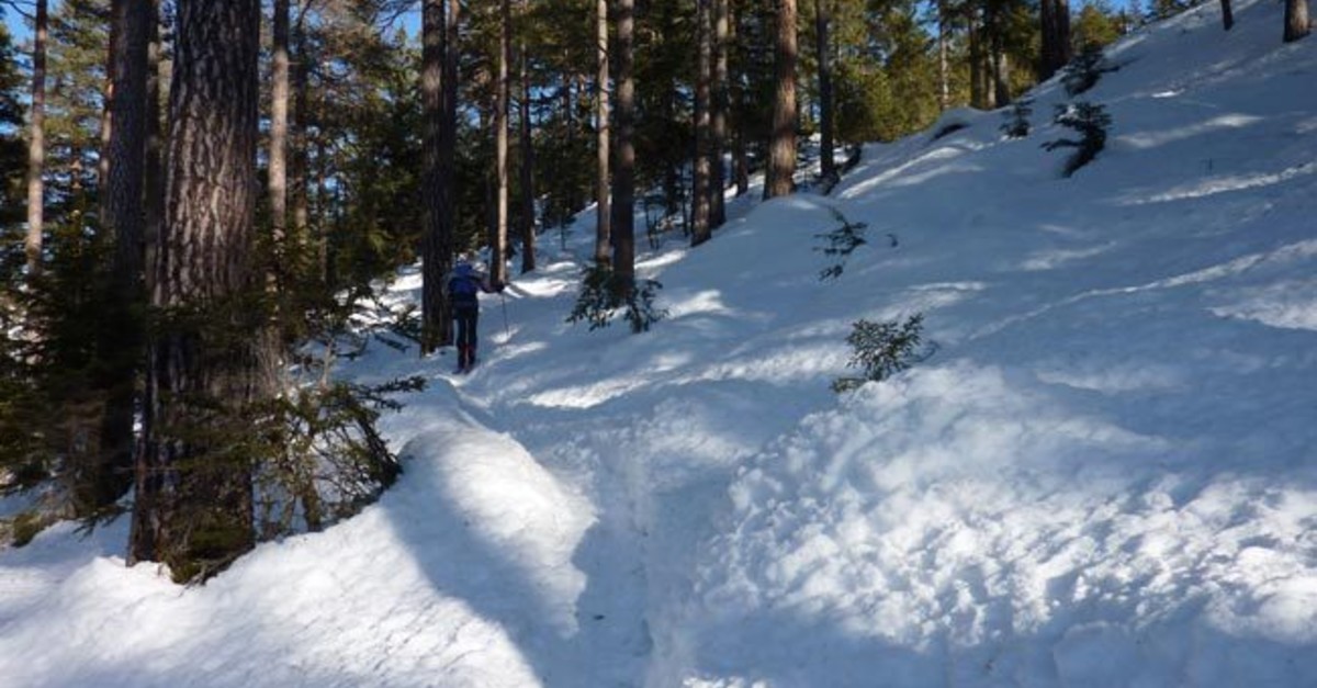 Grünberg - Obsteig - BERGFEX - Skitour - Tour Tirol