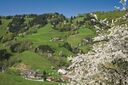 BERGFEX: Münstertal: Urlaub Münstertal - Reisen Münstertal