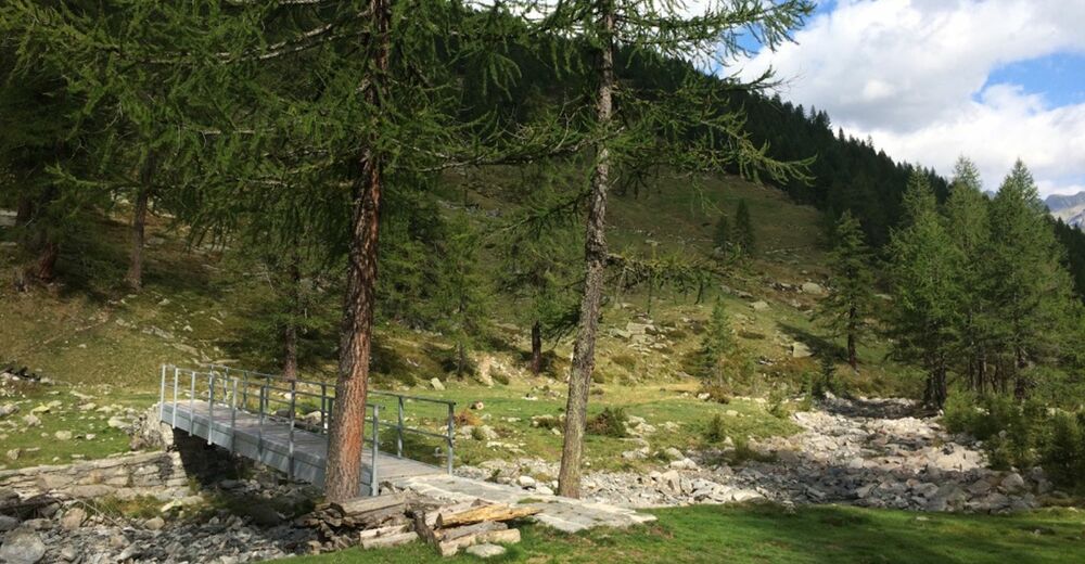 Cimalmotto-Lago di Sfii-Cimalmotto - BERGFEX - Wanderung - Tour Tessin